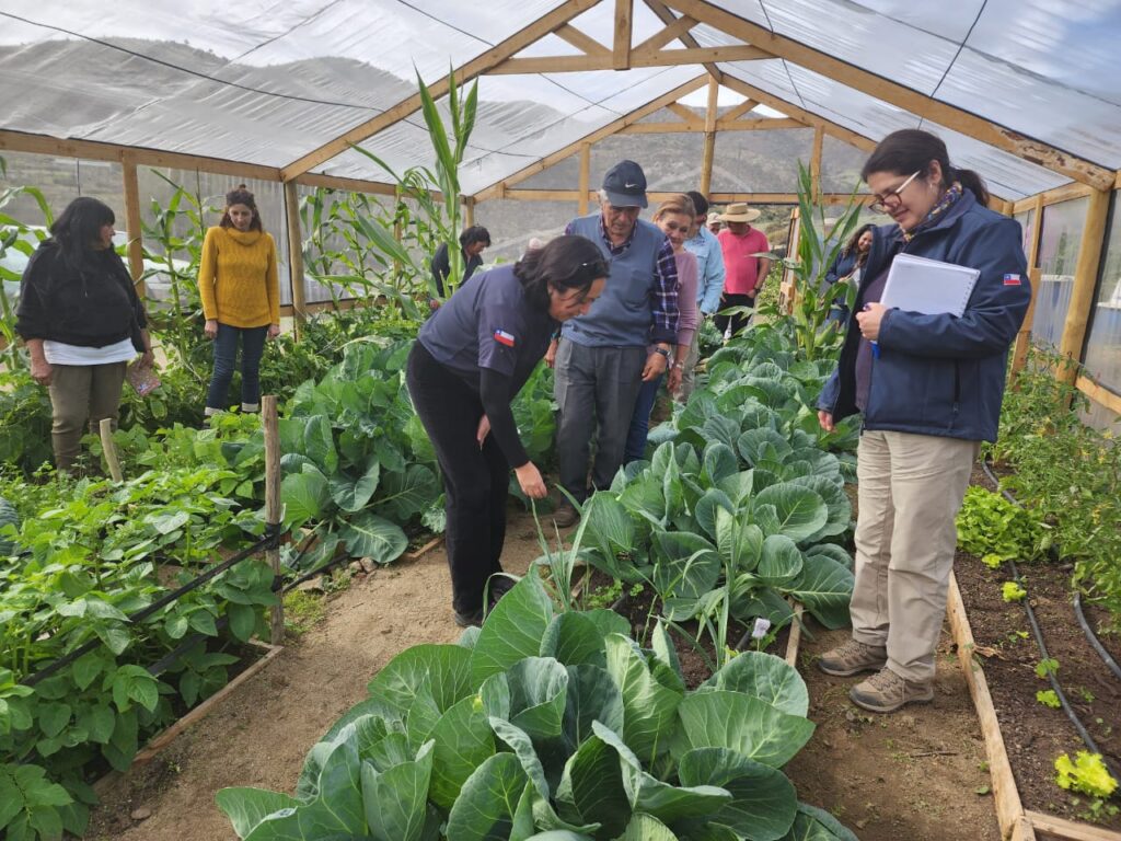Emprendedores conocen prácticas agroecológicas para reducir el impacto ...